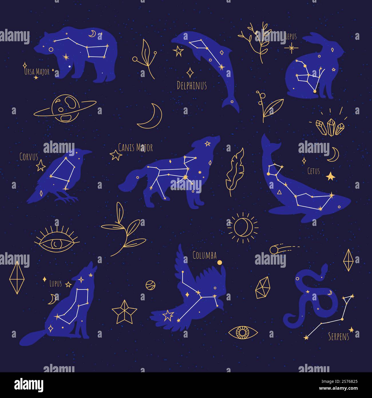 Celestial bodies signs and text. Group of stars forming a recognizable ...