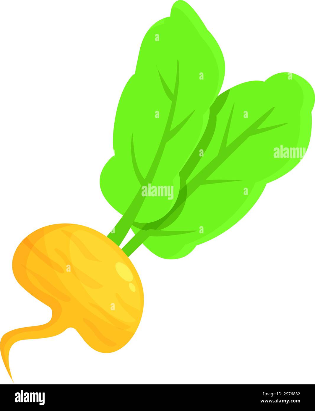 Vegetable root icon cartoon vector. Farm cooking. Food turnip ...