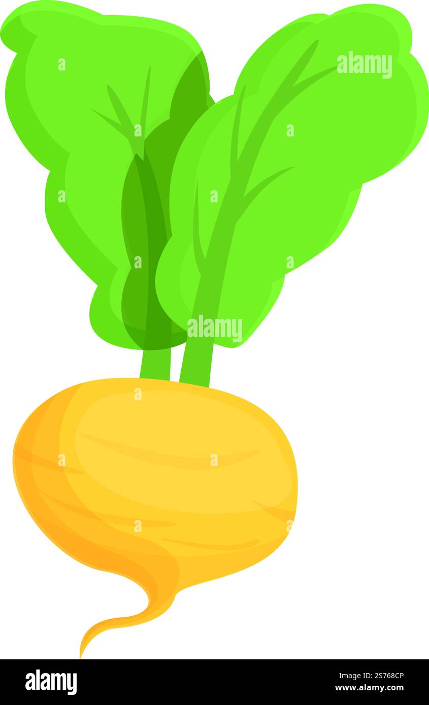 Vegetarian root icon cartoon vector. Green turnip. Food farm ...