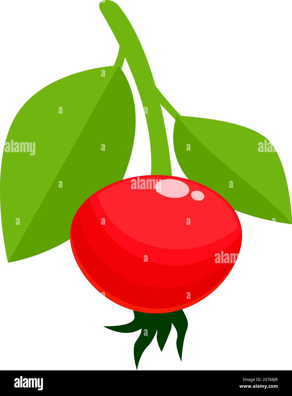 Natural rosehip icon cartoon vector. Berry food. Vitamin ripe. Natural ...