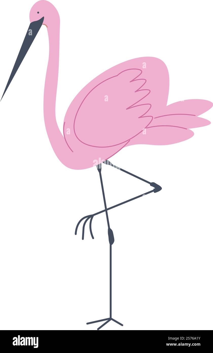 Portrait of flamingo avian animal, isolated tall bird with pink plumage ...