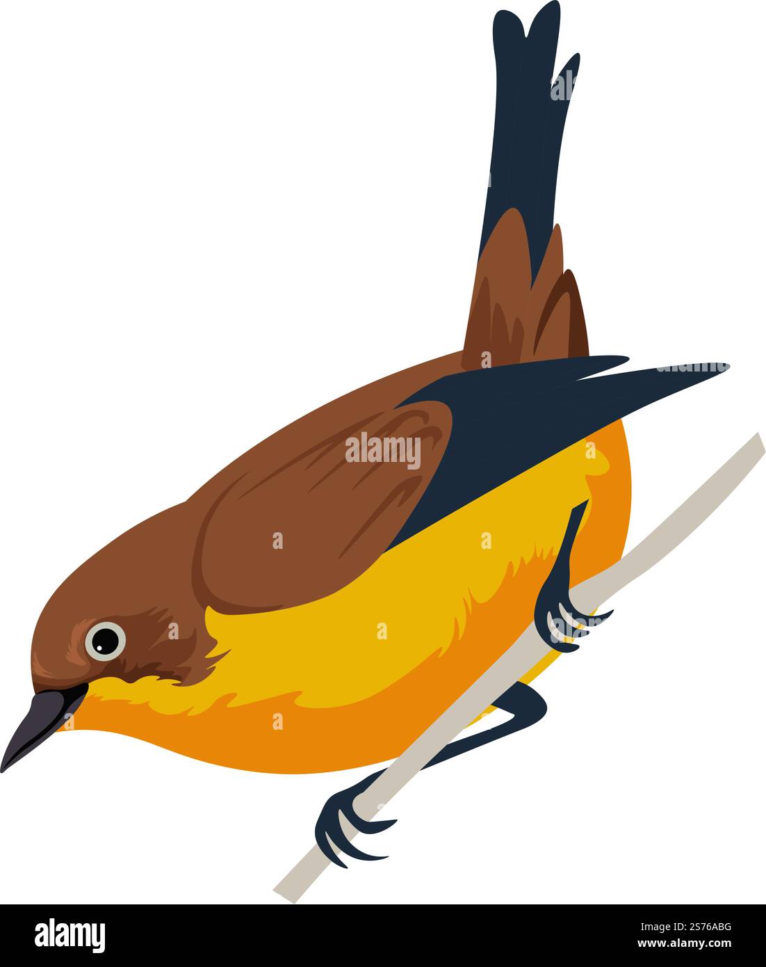 Bird sitting on branches, isolated avian animal wilderness and nature ...