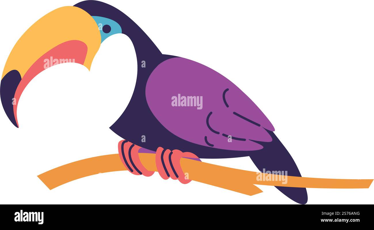 Toucan sitting on branches, isolated tropical animals and birds of ...