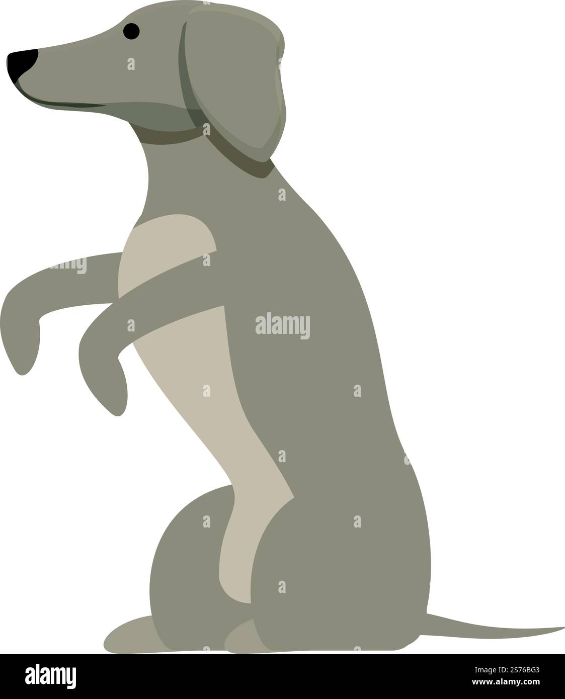 Play greyhound icon cartoon vector. Animal dog. Breed race. Play ...