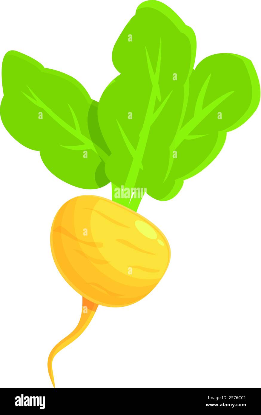 Vegetable turnip icon cartoon vector. Green root. Farm cooking ...