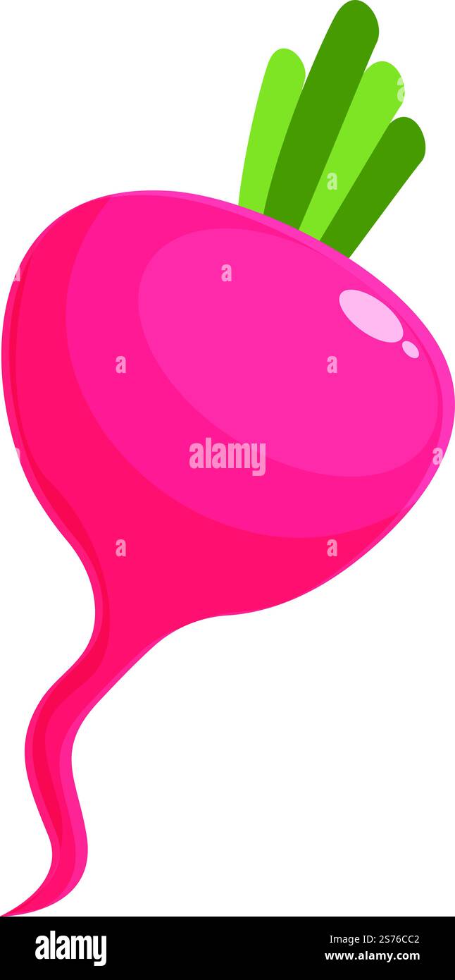 Natural radish icon cartoon vector. Food plant. Vitamin nutrition ...