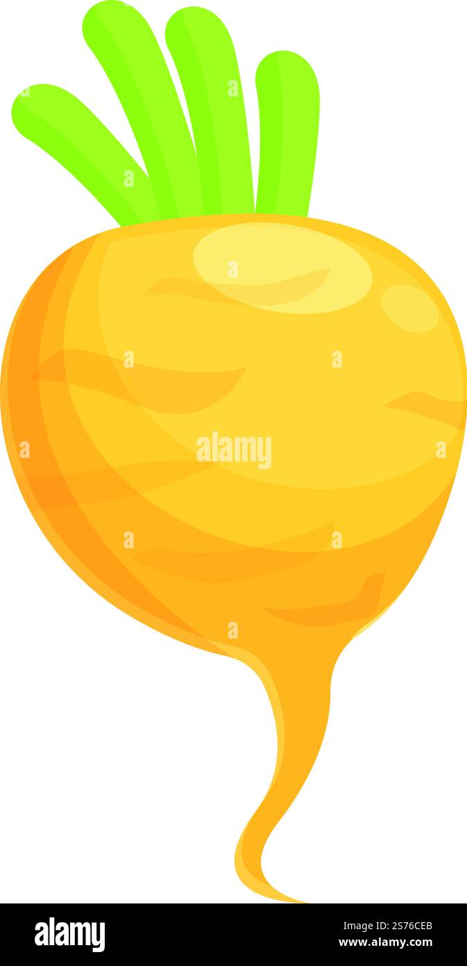 Organic turnip icon cartoon vector. Green root. Food farm. Organic ...