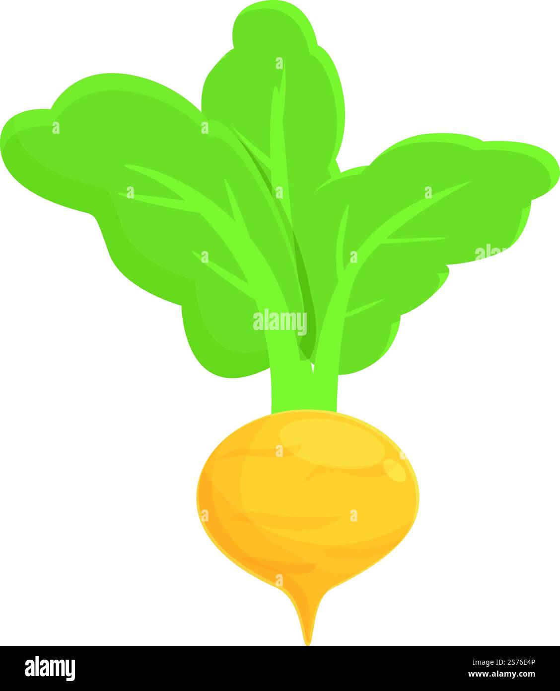 Cooking root icon cartoon vector. Green turnip. Food farm. Cooking root ...