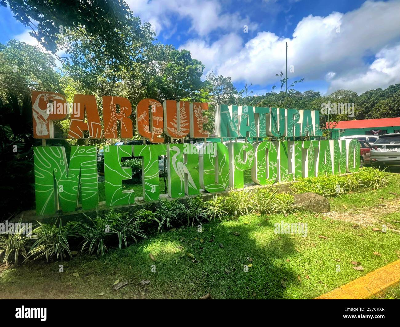 Panama City Panama 11-17-2024 Views of the tropical rain forest hiking ...