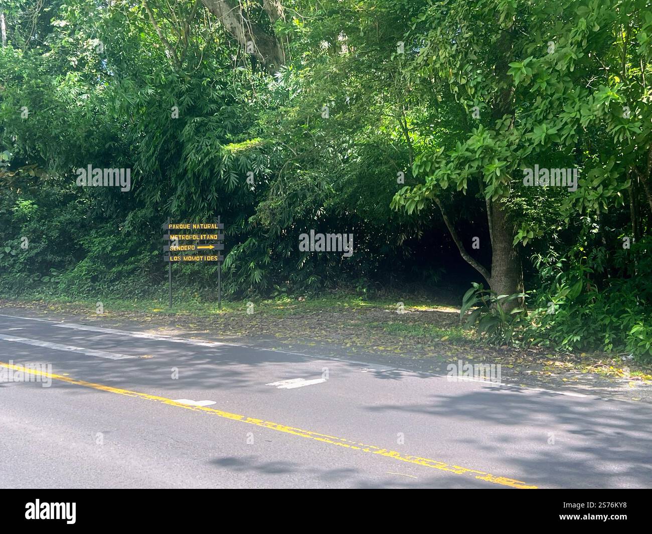 Panama City Panama 11-17-2024 Views of the tropical rain forest hiking ...