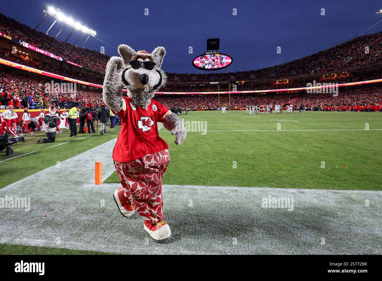 January 18, 2025: Kansas City Chiefs Mascot KC Wolf poses for a photo ...