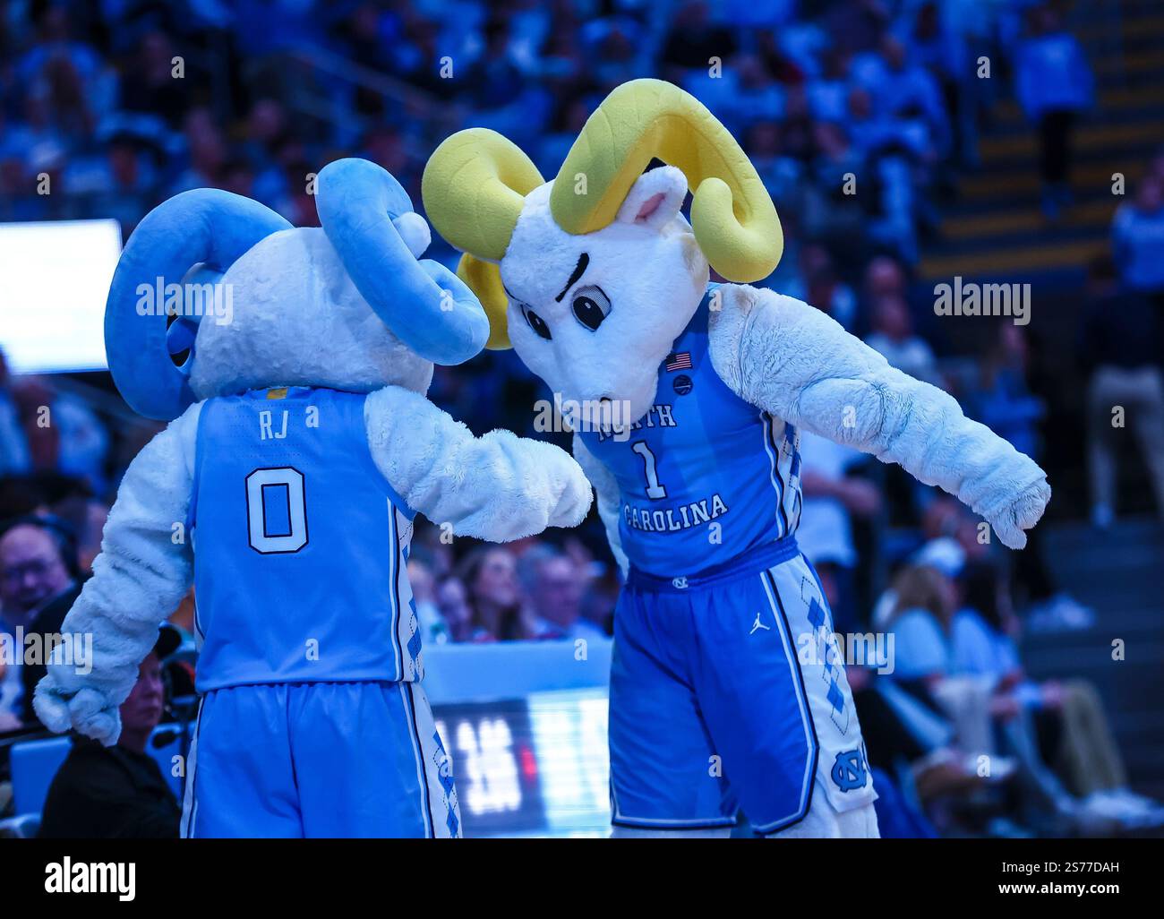 January 18, 2025: UNC mascots head each other. NCAA basketball game ...