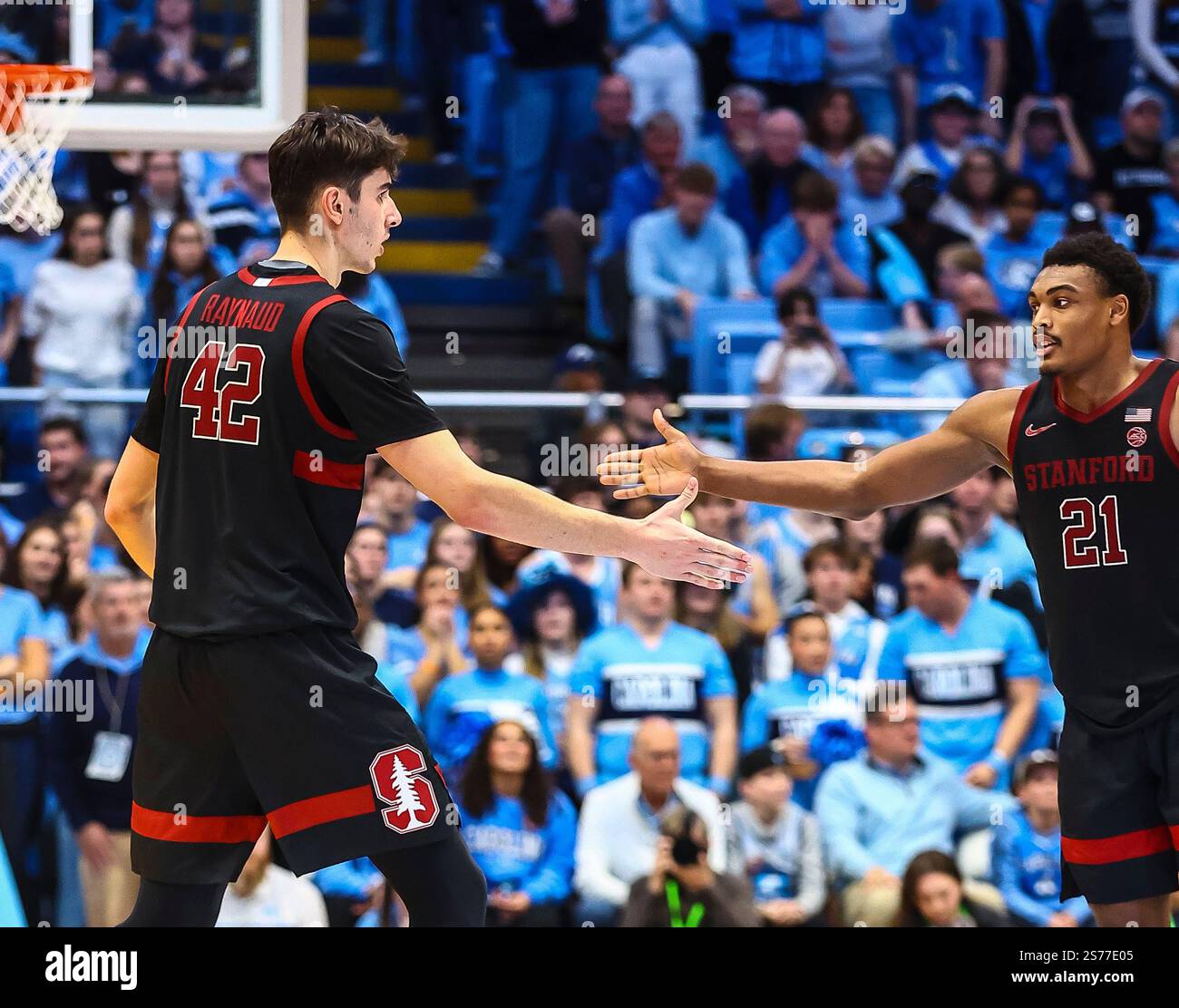 January 18, 2025: Stanford senior Maxime Raynaud (42) celebrates after ...