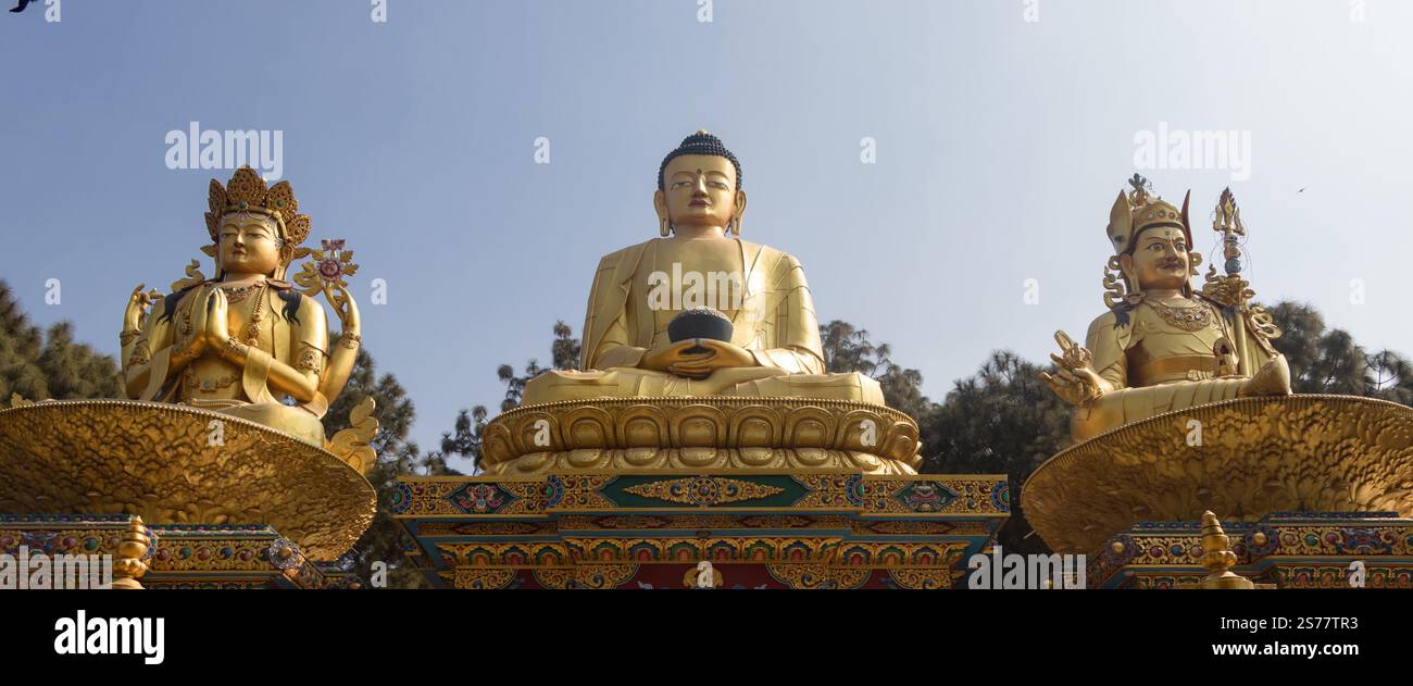 The Golden Buddha Statues in Buddha park, Swayambhunath area, Kathmandu ...