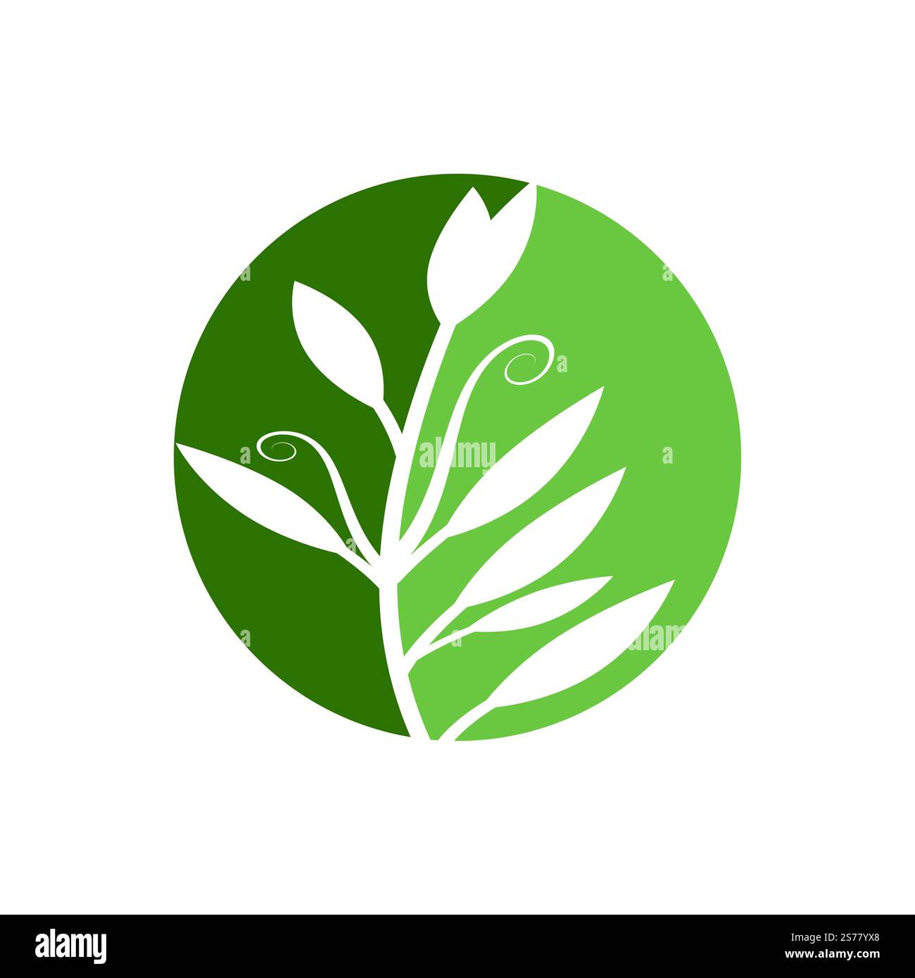 Green leaves Botanical logo vector and symbol design Stock Vector Image ...