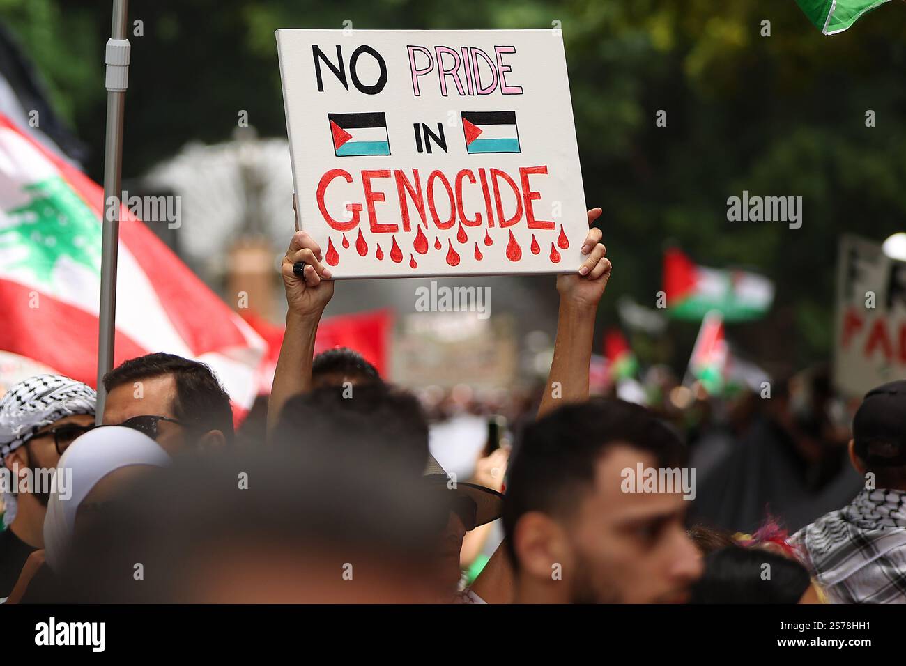 Sydney, Australia. 19th Jan, 2025. A placard is seen during a Pro ...