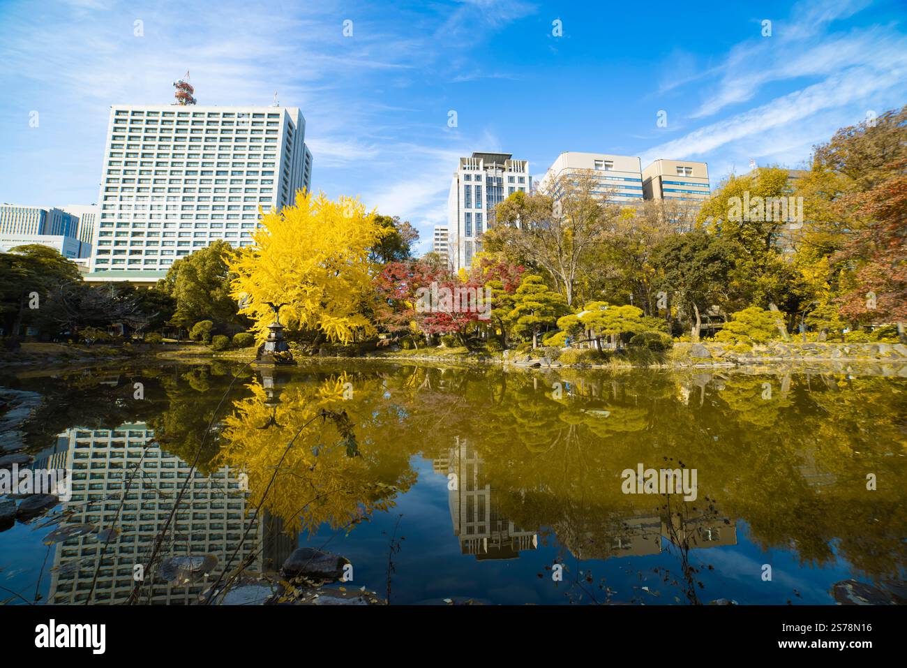 Yellow gingko tree and red leaves near the pond at Hibiya park in Tokyo wide shot Stock Photo ...