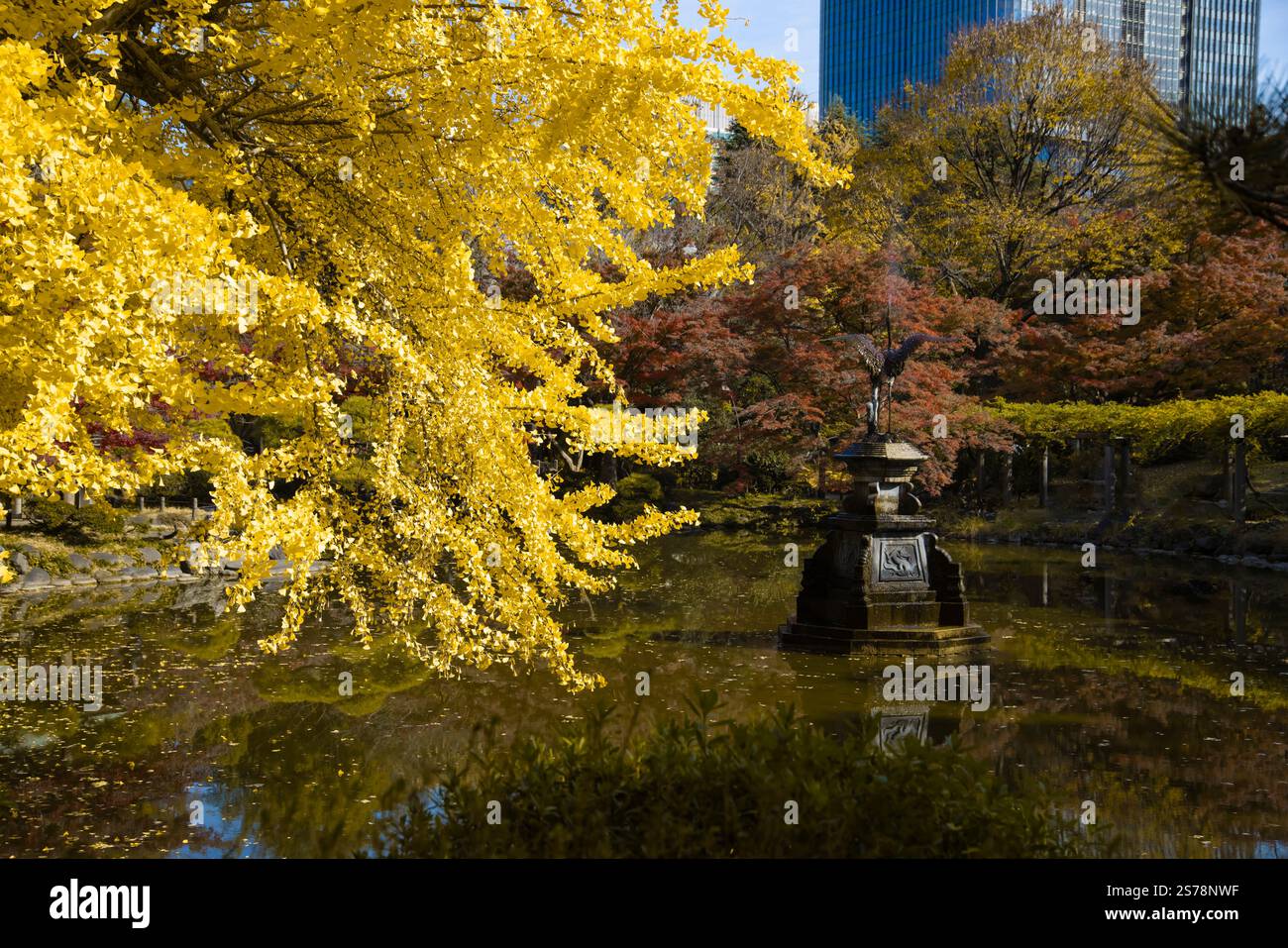 A yellow gingko tree near the pond at Hibiya park in Tokyo Stock Photo - Alamy