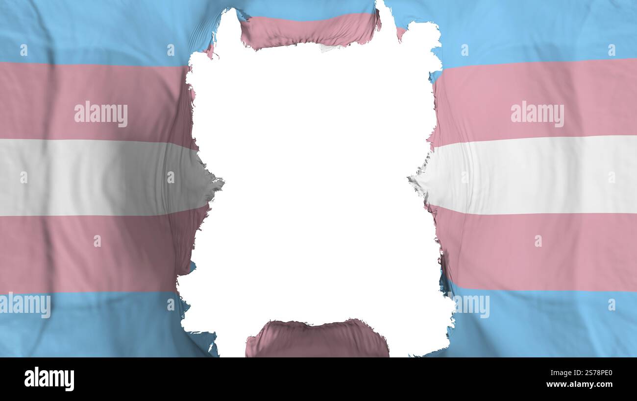 Ripped transgender pride flying flag, over white background, 3d ...