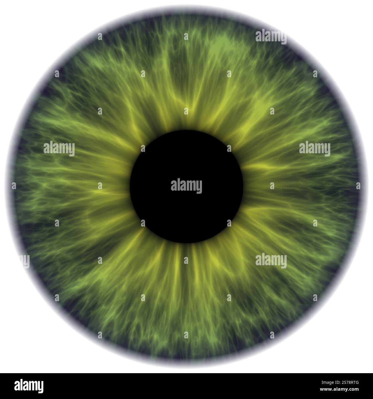 An illustration of a nice iris texture Stock Photo - Alamy