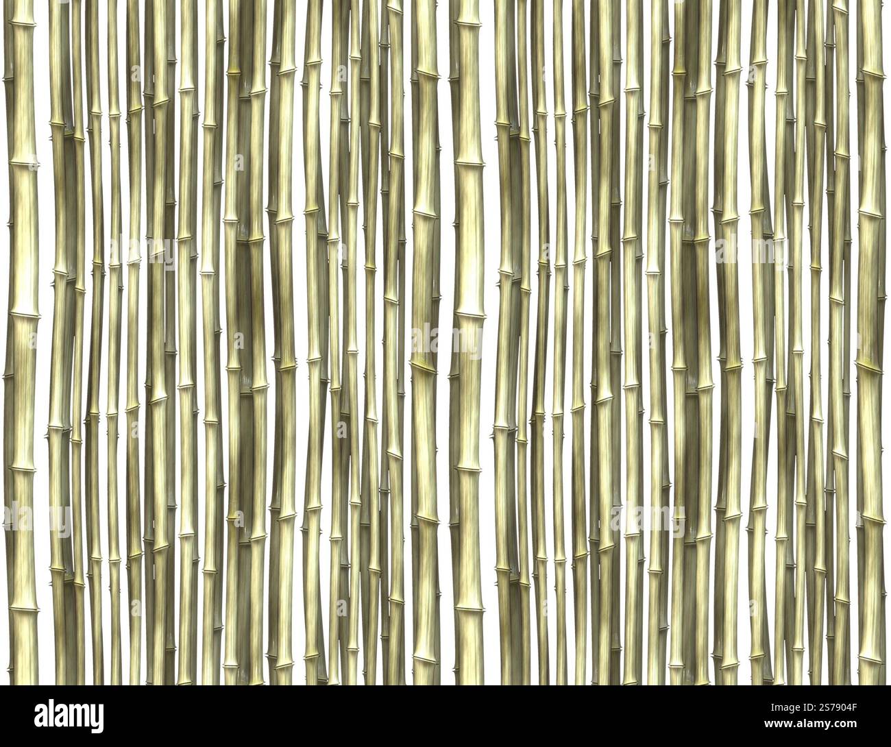 An illustration of a bright bamboo background Stock Photo - Alamy