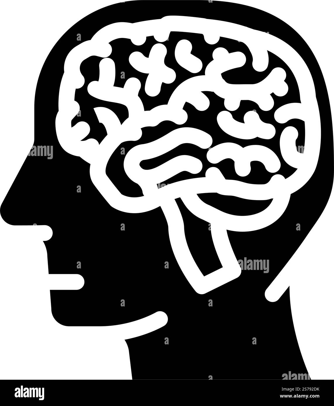 human brain glyph icon vector. human brain sign. isolated symbol ...
