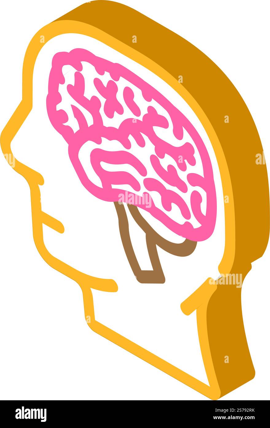 human brain isometric icon vector. human brain sign. isolated symbol ...