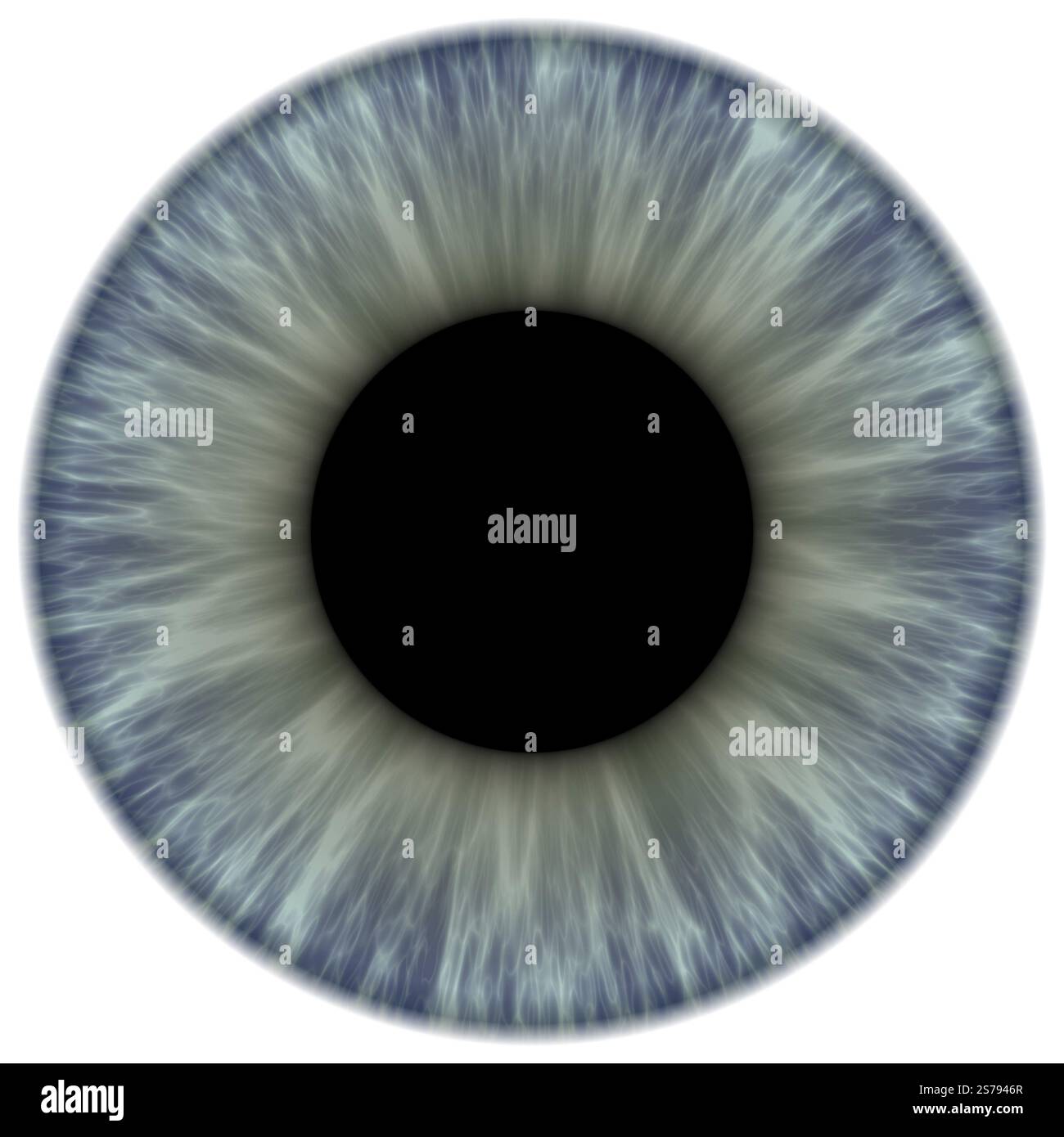 An illustration of a nice iris texture Stock Photo - Alamy