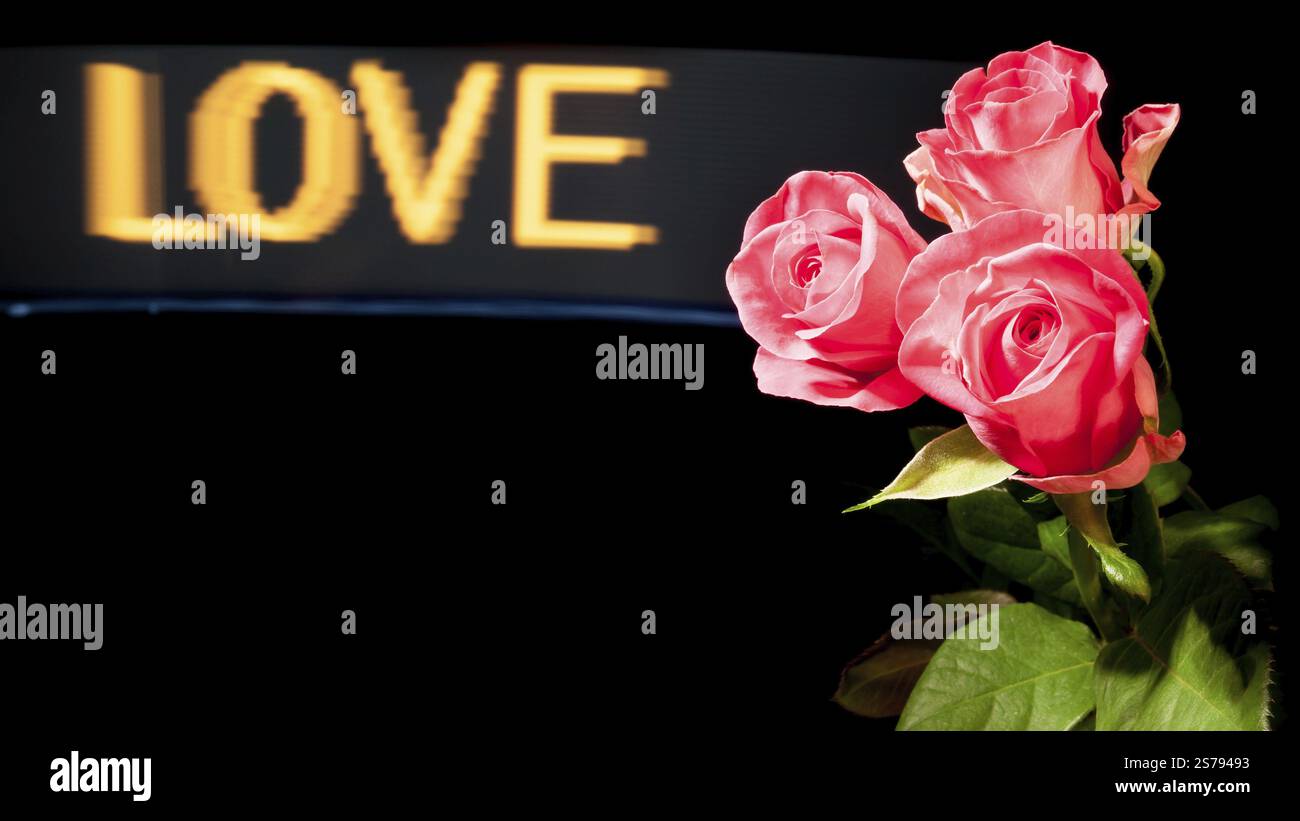 Light painted roses love hi-res stock photography and images - Alamy