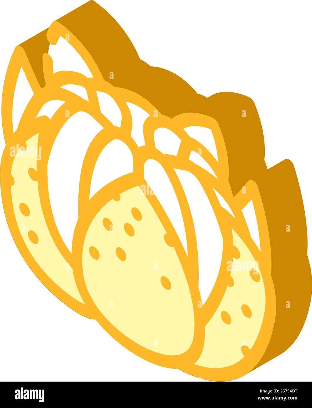 clementine mandarin isometric icon vector. clementine mandarin sign ...