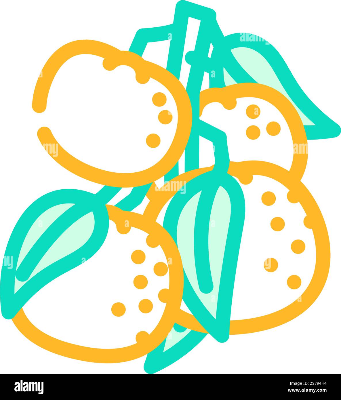 branch mandarin orange color icon vector. branch mandarin orange sign ...