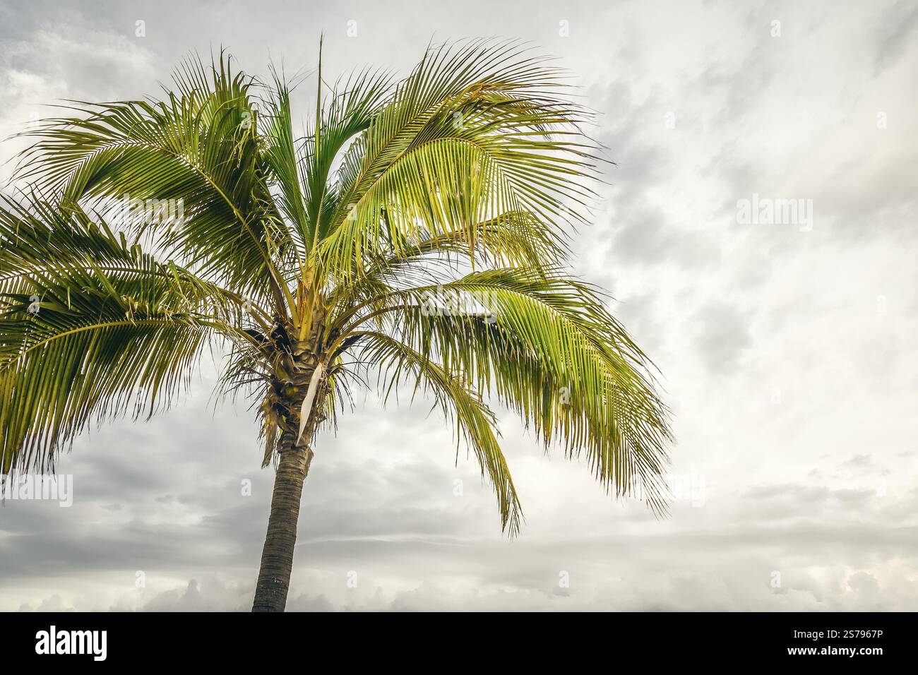 Nice nature images hi-res stock photography and images - Alamy