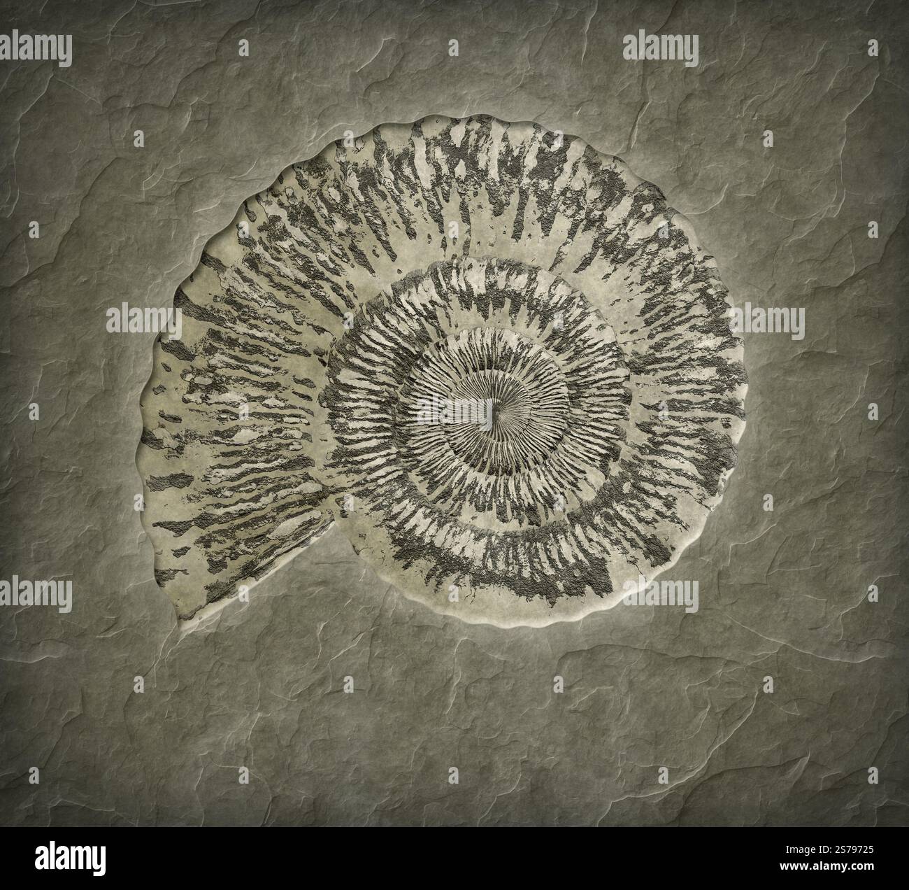 Petrification hi-res stock photography and images - Alamy