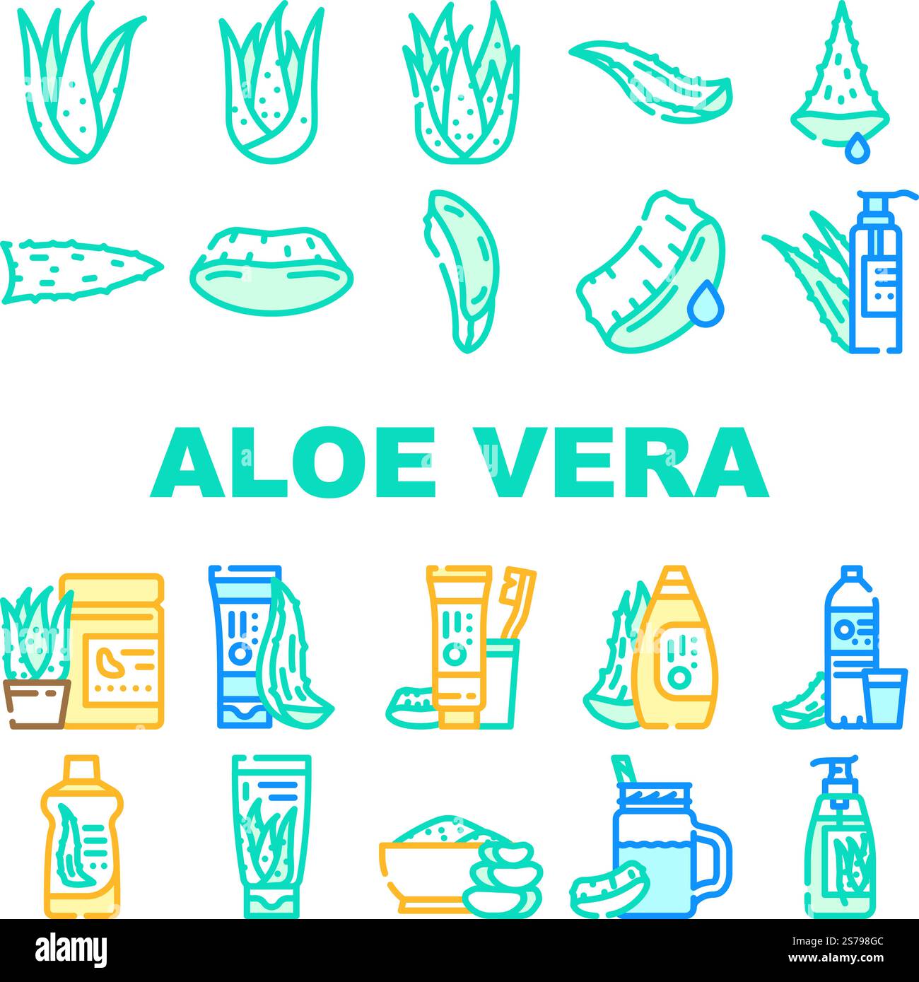 aloe vera plant nature green leaf icons set vector. herb vera, cosmetic ...