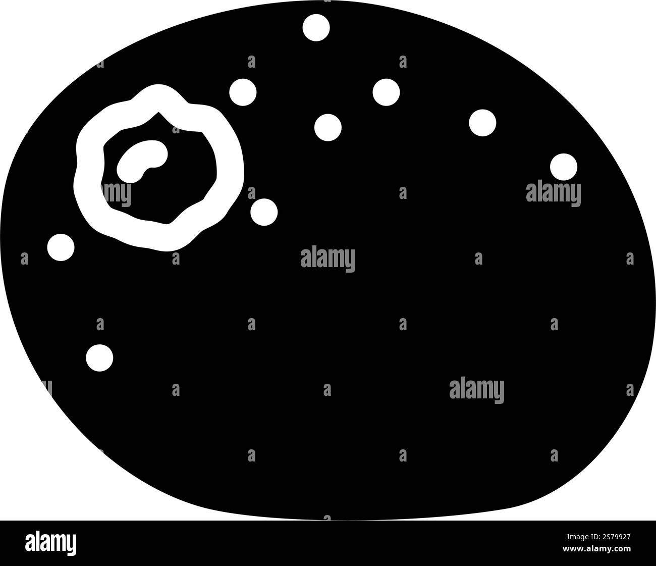 kiwi fruit glyph icon vector. kiwi fruit sign. isolated symbol ...