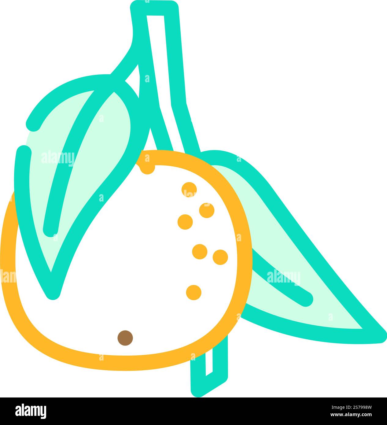 branch mandarin leaf color icon vector. branch mandarin leaf sign ...