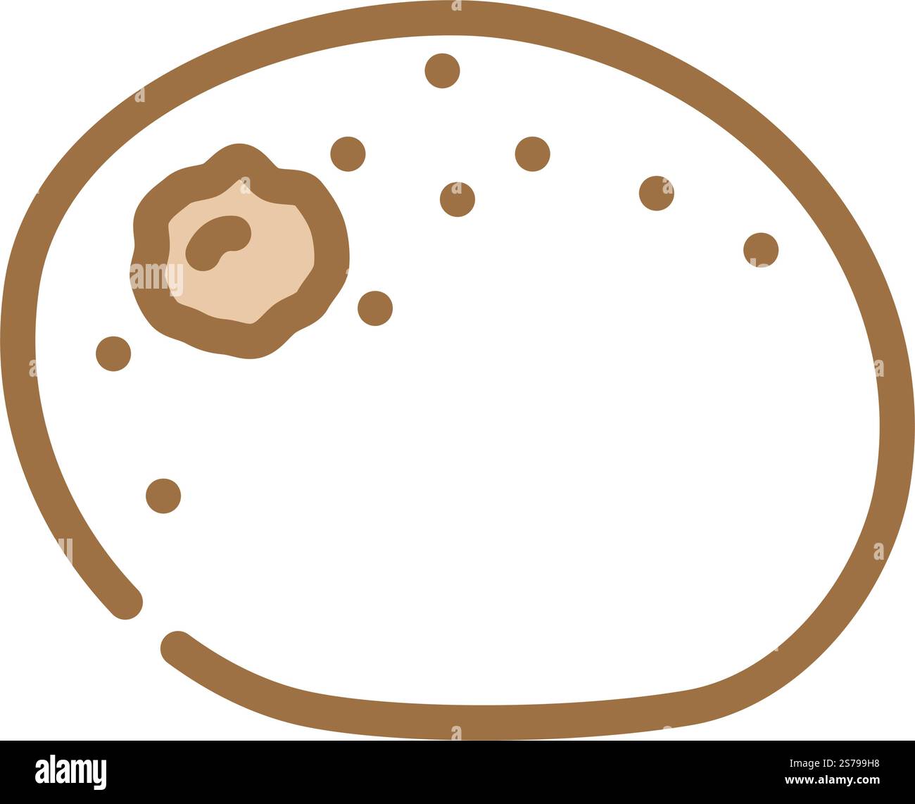 kiwi fruit color icon vector. kiwi fruit sign. isolated symbol ...