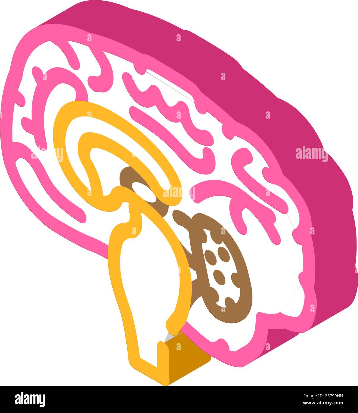 neurology brain isometric icon vector. neurology brain sign. isolated ...