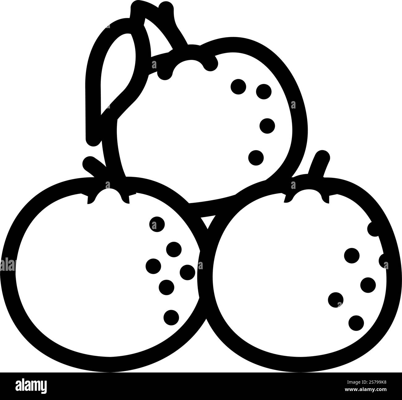 slice tangerine clementine peeled line icon vector. slice tangerine ...