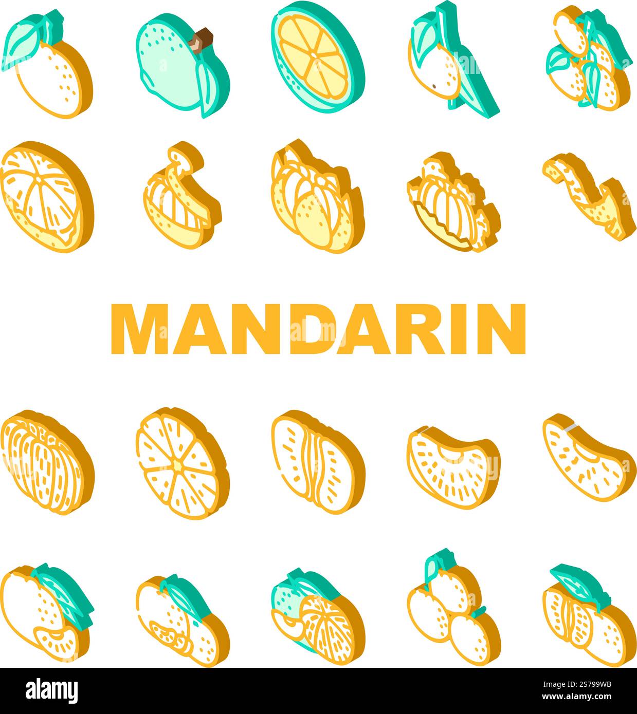 mandarin citrus fruit icons set vector. orange food, tropical tangerine ...