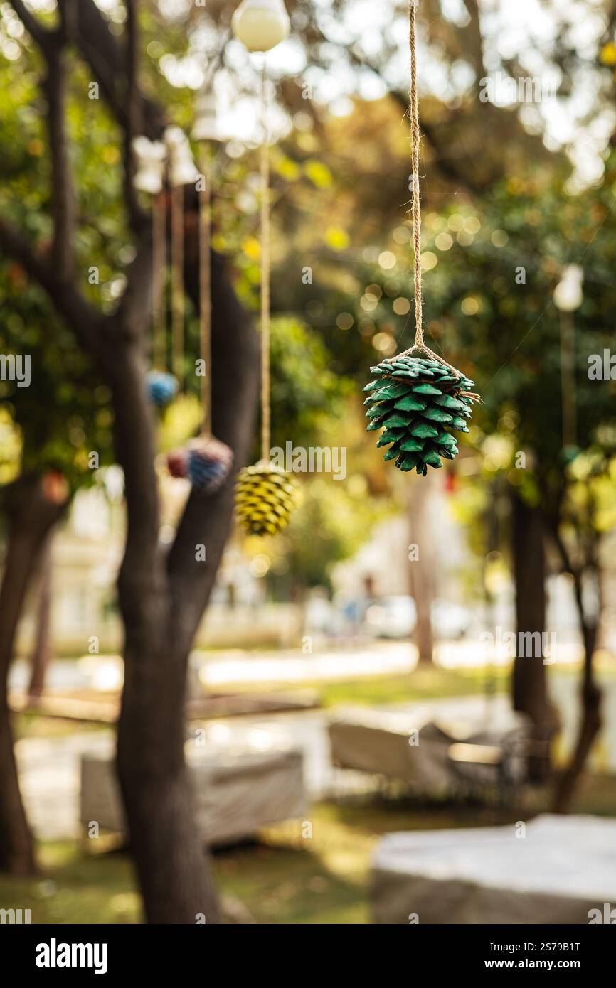 Colorful pine cones hanging in sunlit park Stock Photo - Alamy