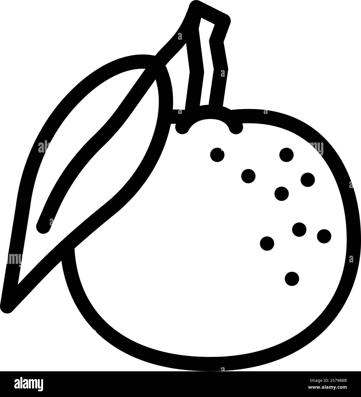 mandarin orange line icon vector. mandarin orange sign. isolated ...