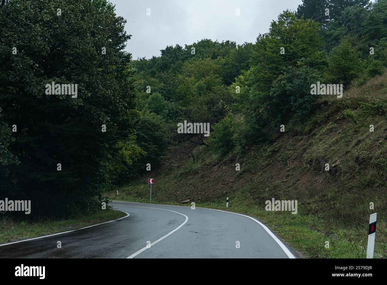 Rural road in the countryside of Georgia in summer season Stock Photo ...