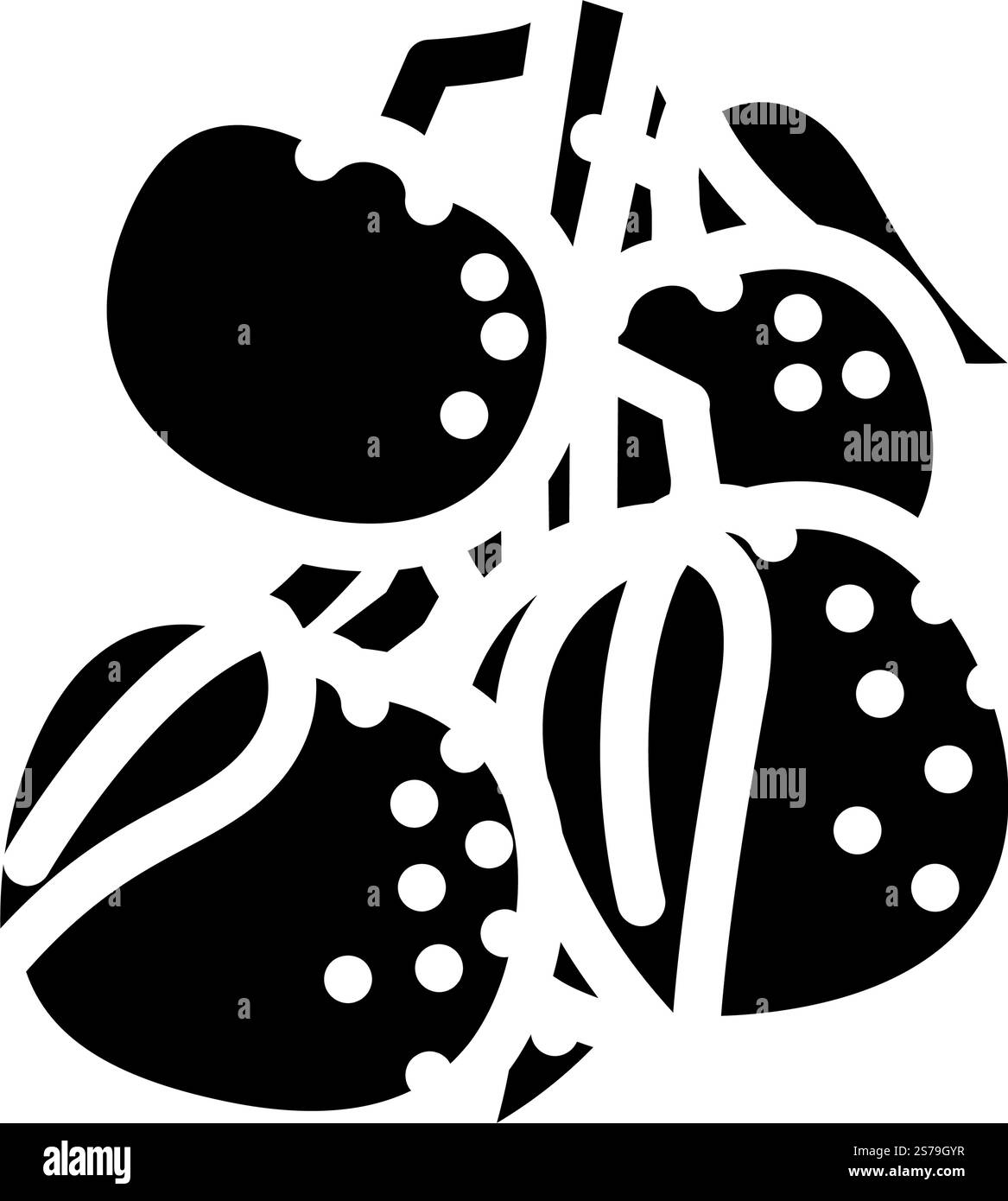 branch mandarin orange glyph icon vector. branch mandarin orange sign ...