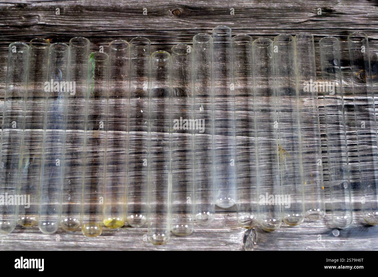 Test tubes, culture or sample tube, a common piece of laboratory ...