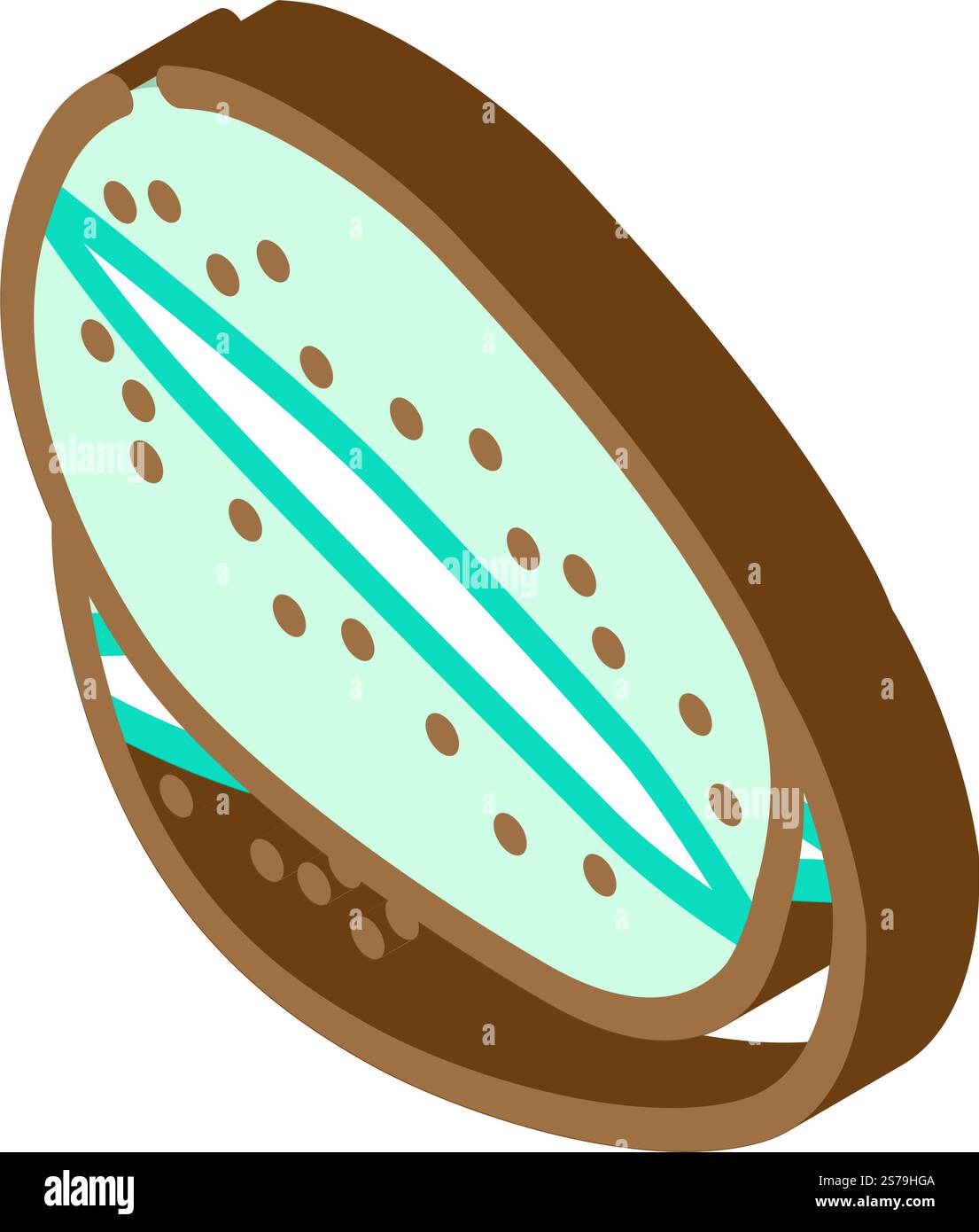 cut green kiwi isometric icon vector. cut green kiwi sign. isolated ...