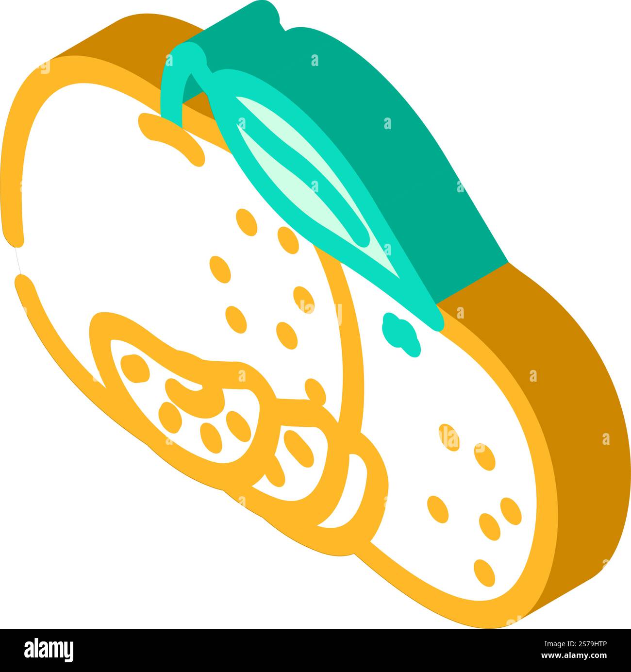 peeled mandarin peel isometric icon vector. peeled mandarin peel sign ...