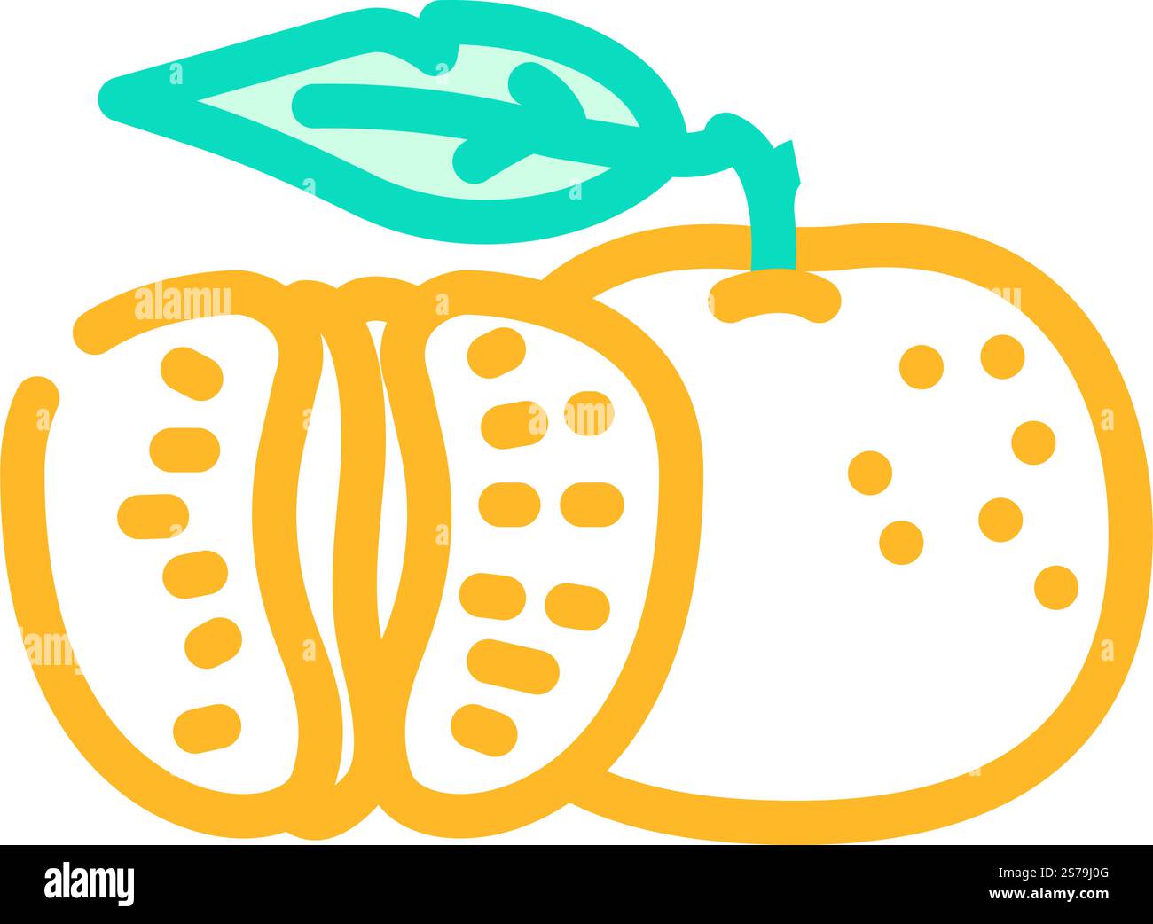 cut tangerine leaf color icon vector. cut tangerine leaf sign. isolated ...