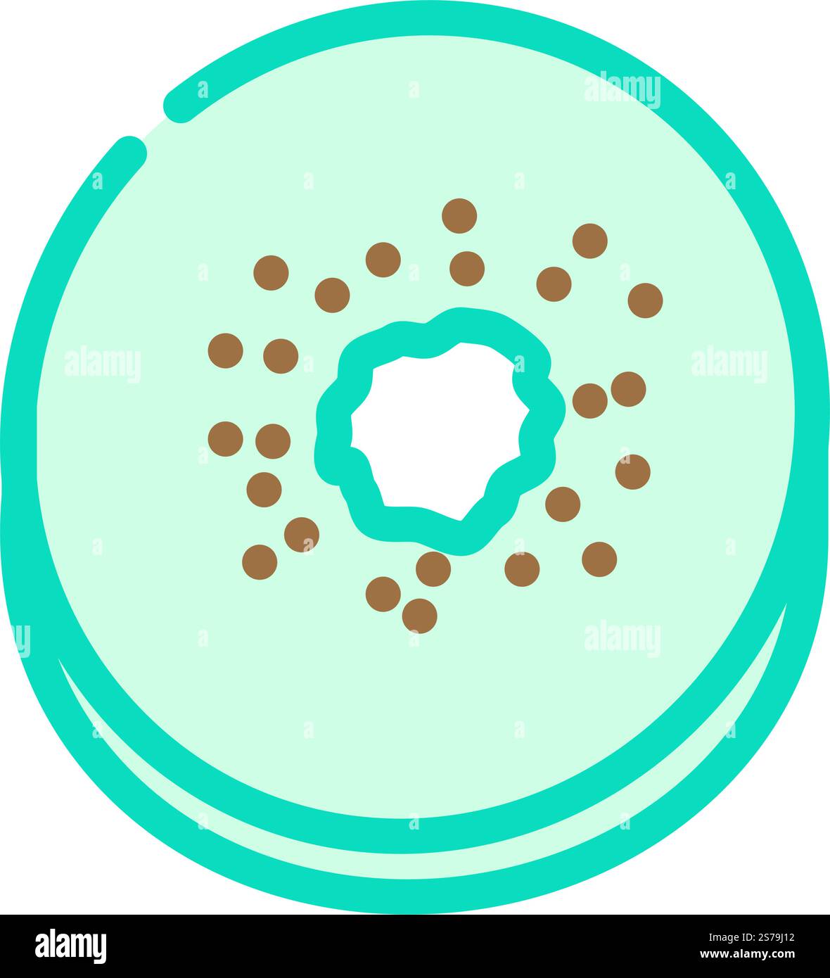 slice fruit kiwi color icon vector. slice fruit kiwi sign. isolated ...