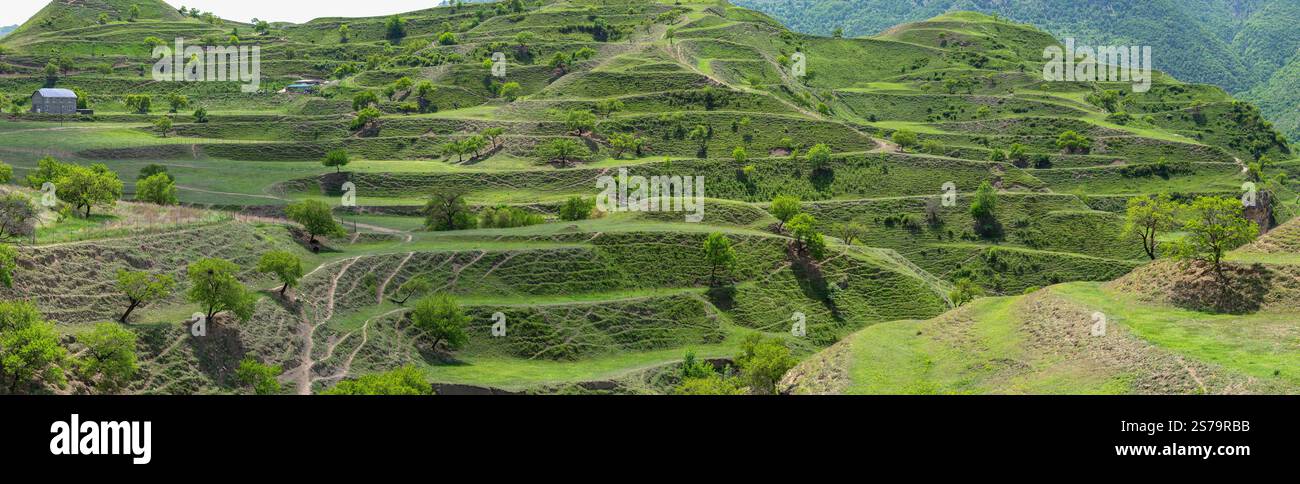Panorama of agricultural terraces in the mountains of Dagestan, Russia ...